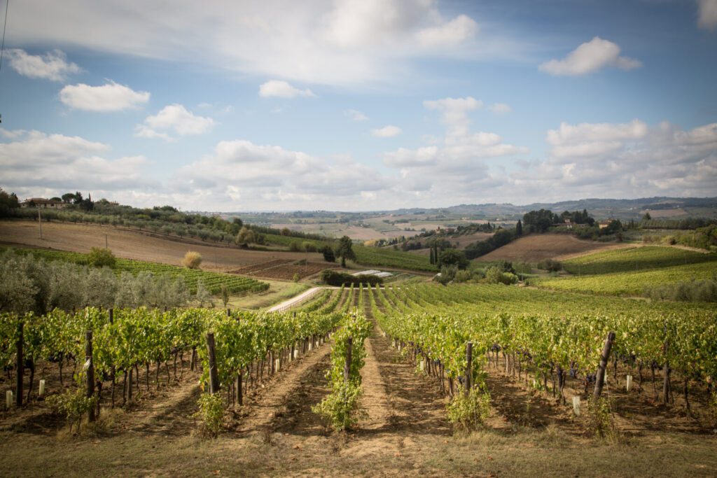 Chianti Colli Fiorentini - Characteristics, Wine Tastings & Estates